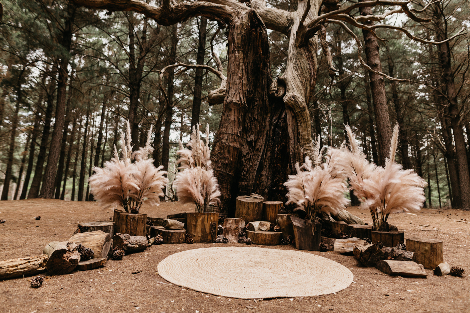 11 Unique Boho Wedding Themes To Try At Your Wedding