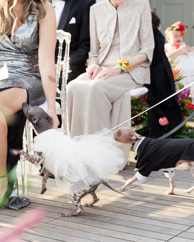 Dog Wedding Ideas | Maggie Sottero
